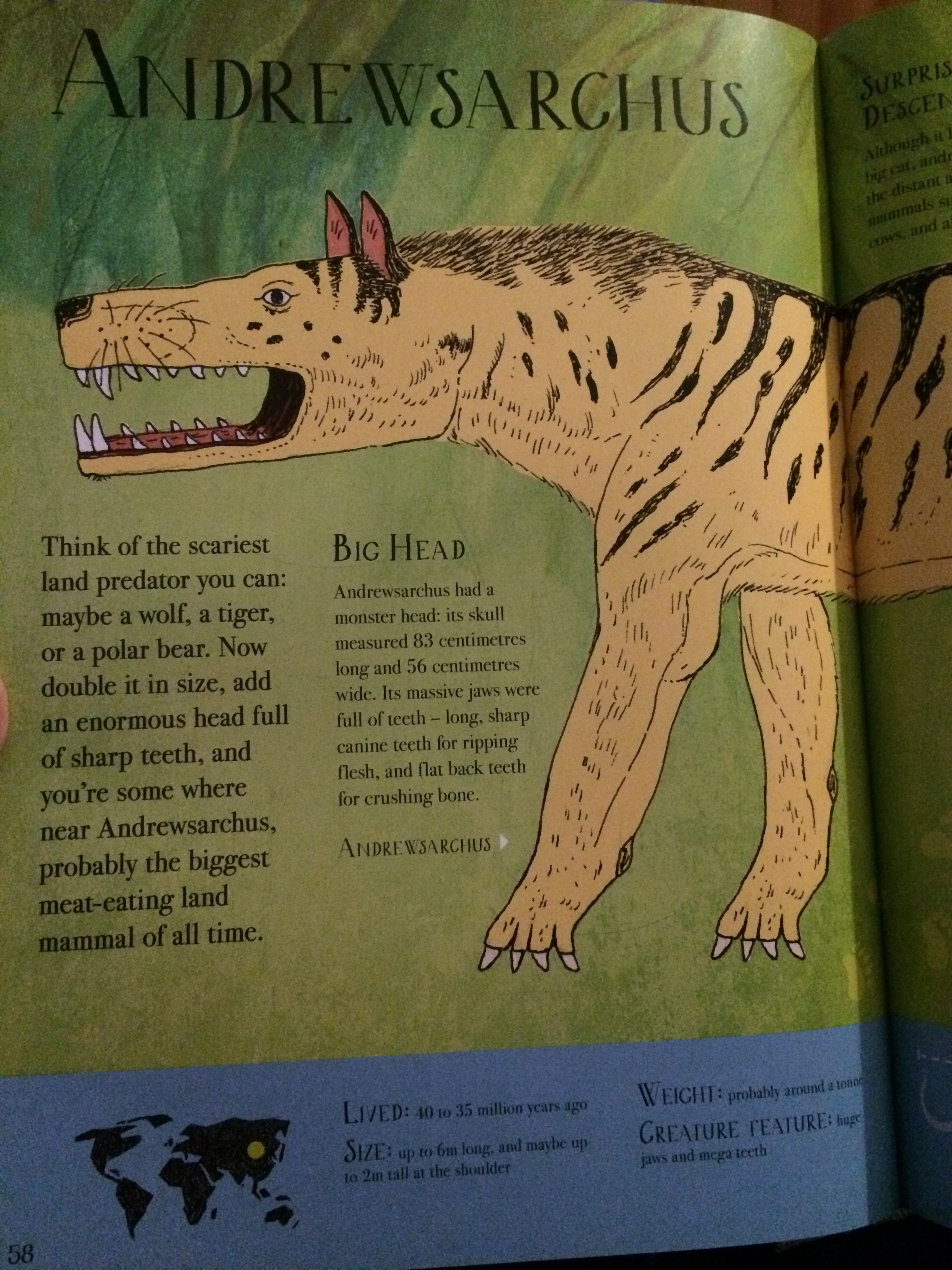 ‘Animasaurus-Incredible Animals that Roamed the Earth,’ by Tracey ...