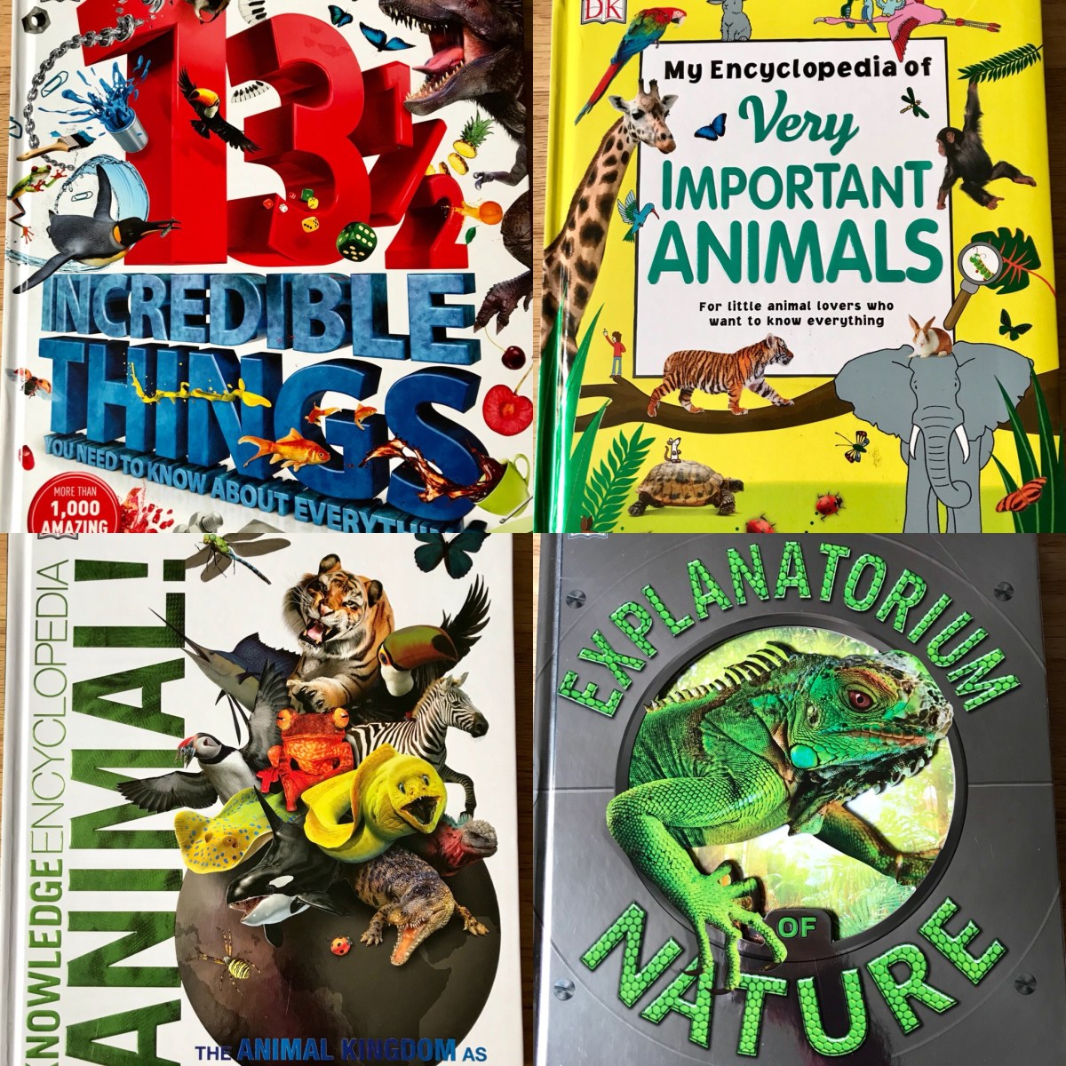 Wonders of Nature from DK. – Library Girl and Book Boy