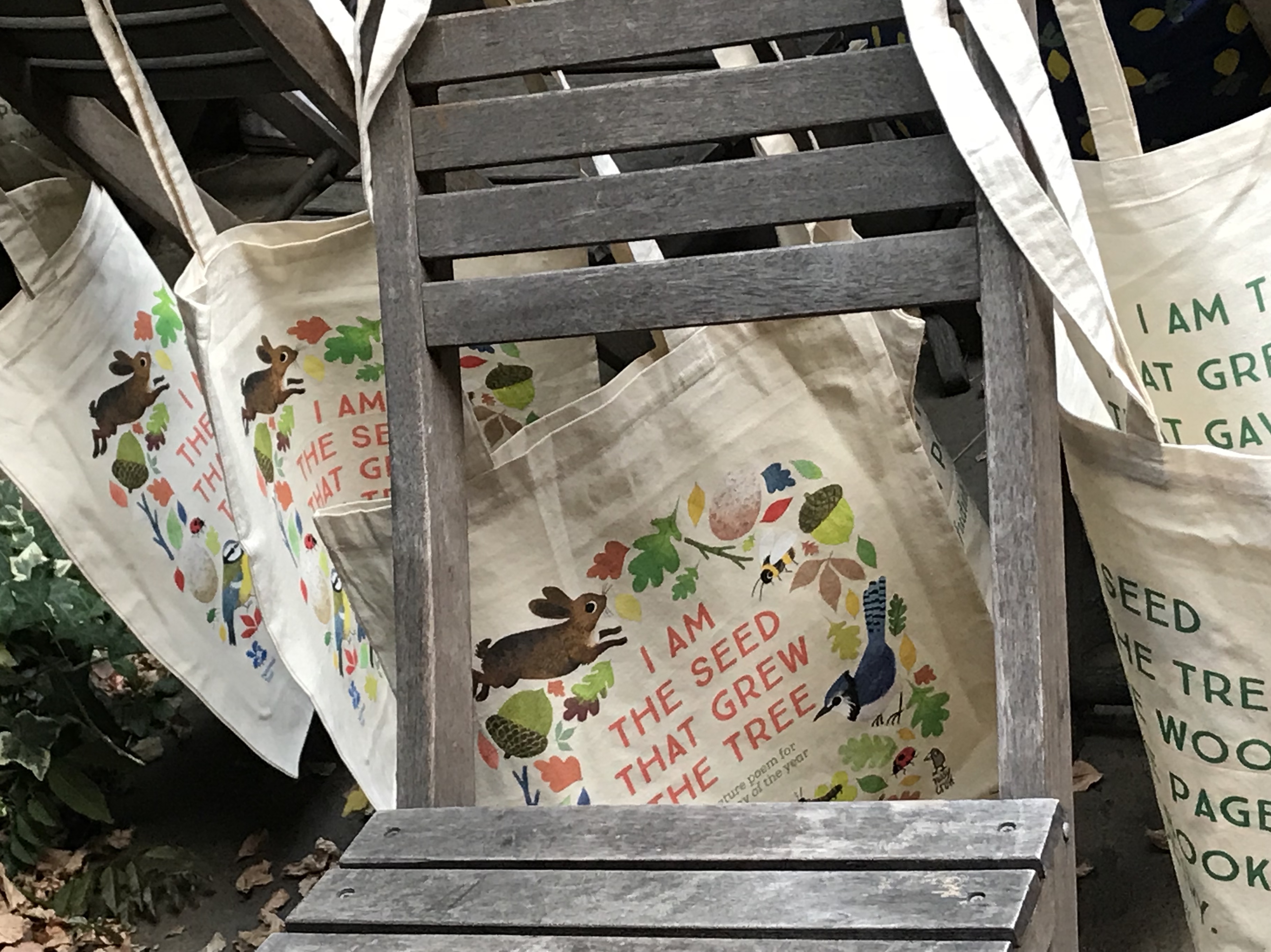 ‘I Am The Seed That Grew The Tree,’ curated by Fiona Waters ...