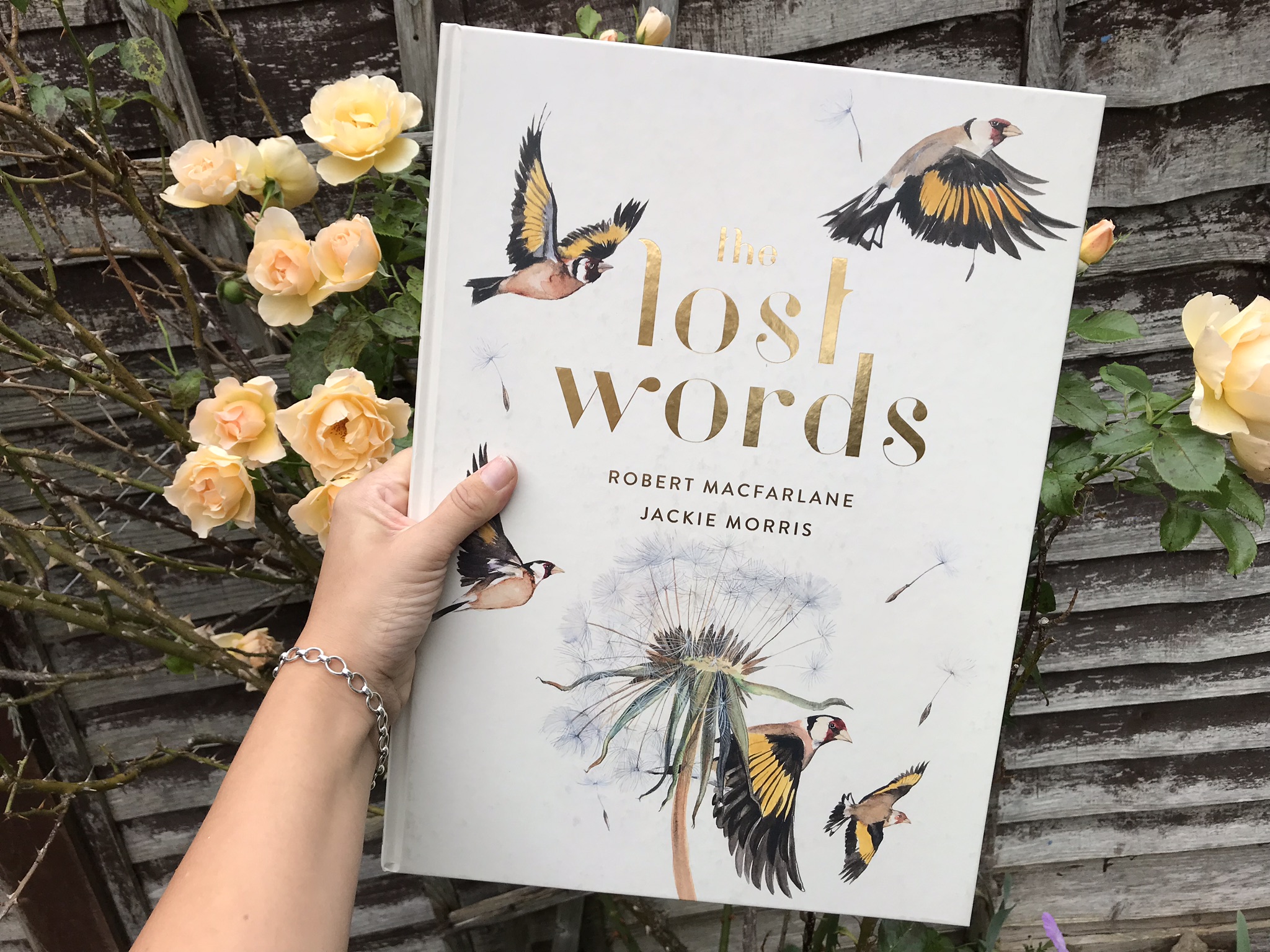 ‘The Lost Words,’ by Robert MacFarlane and Jackie Morris. – Library ...