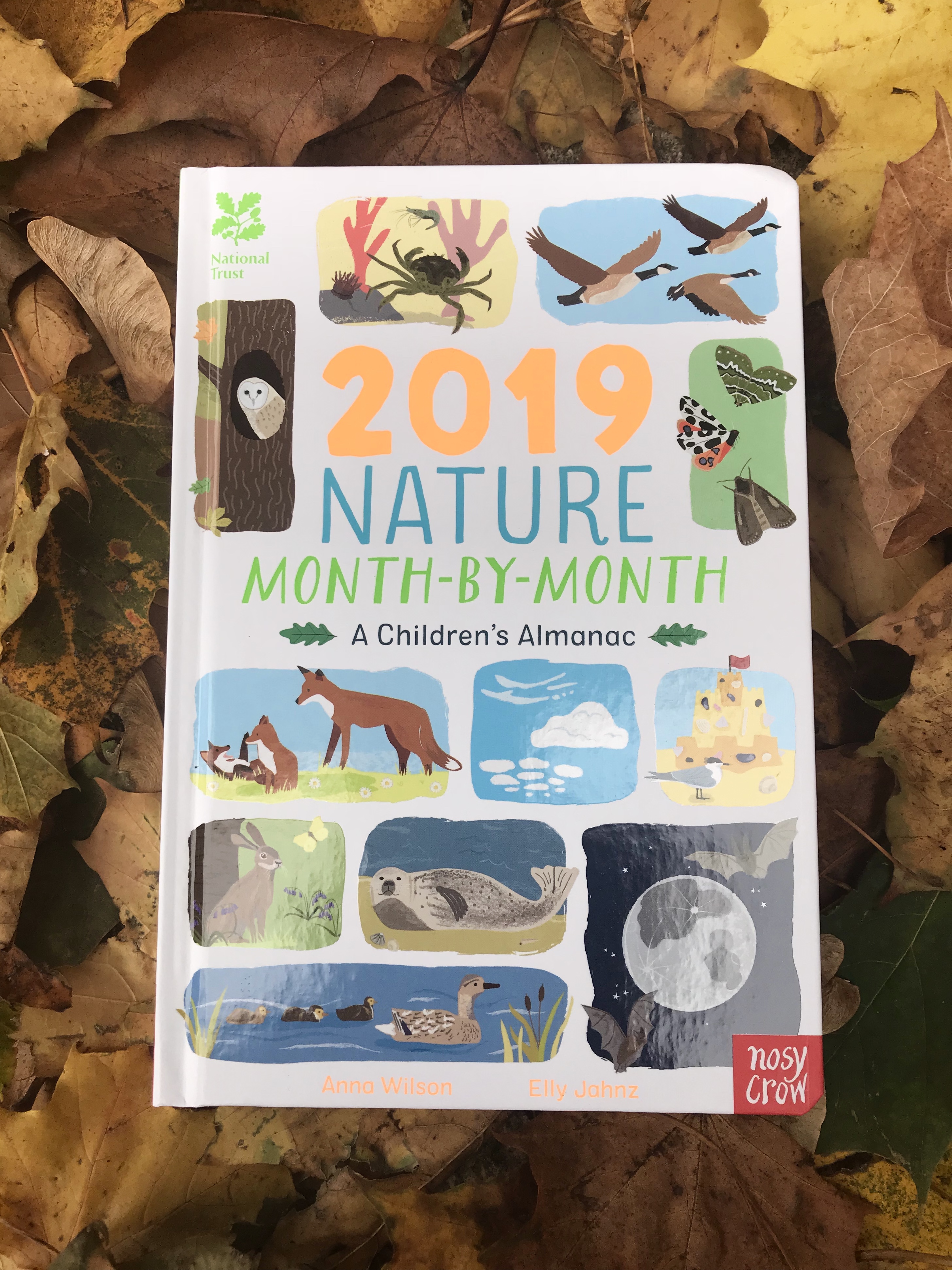 ‘2019 Nature Month-by-Month: A Children’s Almanac,’ by Anna Wilson with ...