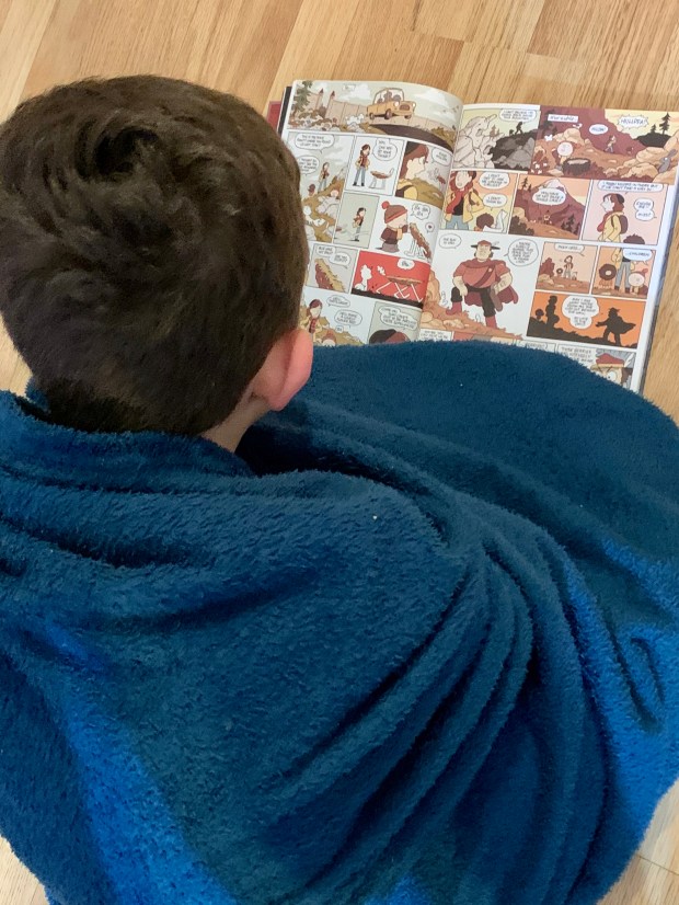 ‘Hilda and the Mountain King,’ by Luke Pearson. – Library Girl and Book Boy