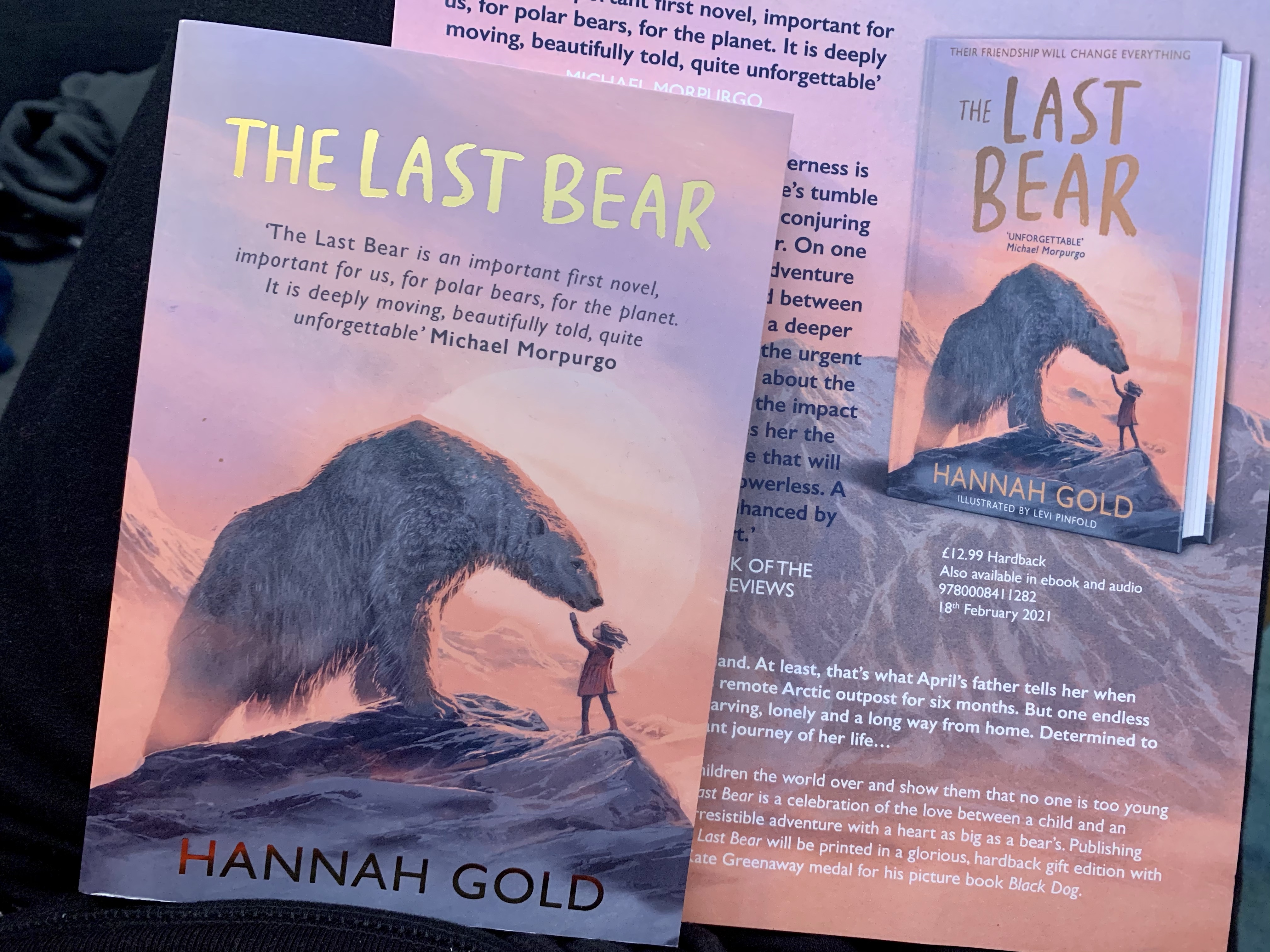 ‘The Last Bear,’ by Hannah Gold, illustrated by Levi Pinfold. – Library ...
