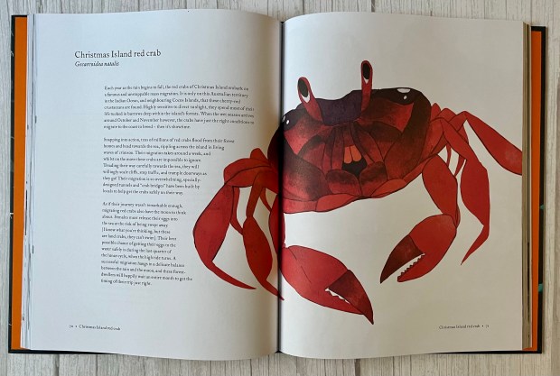 Amazing Migrations – Library Girl and Book Boy