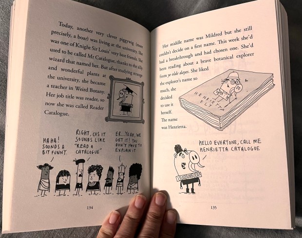 ‘Knight Sir Louis and the Sorcerer of Slime,’ by The Brothers McLeod ...