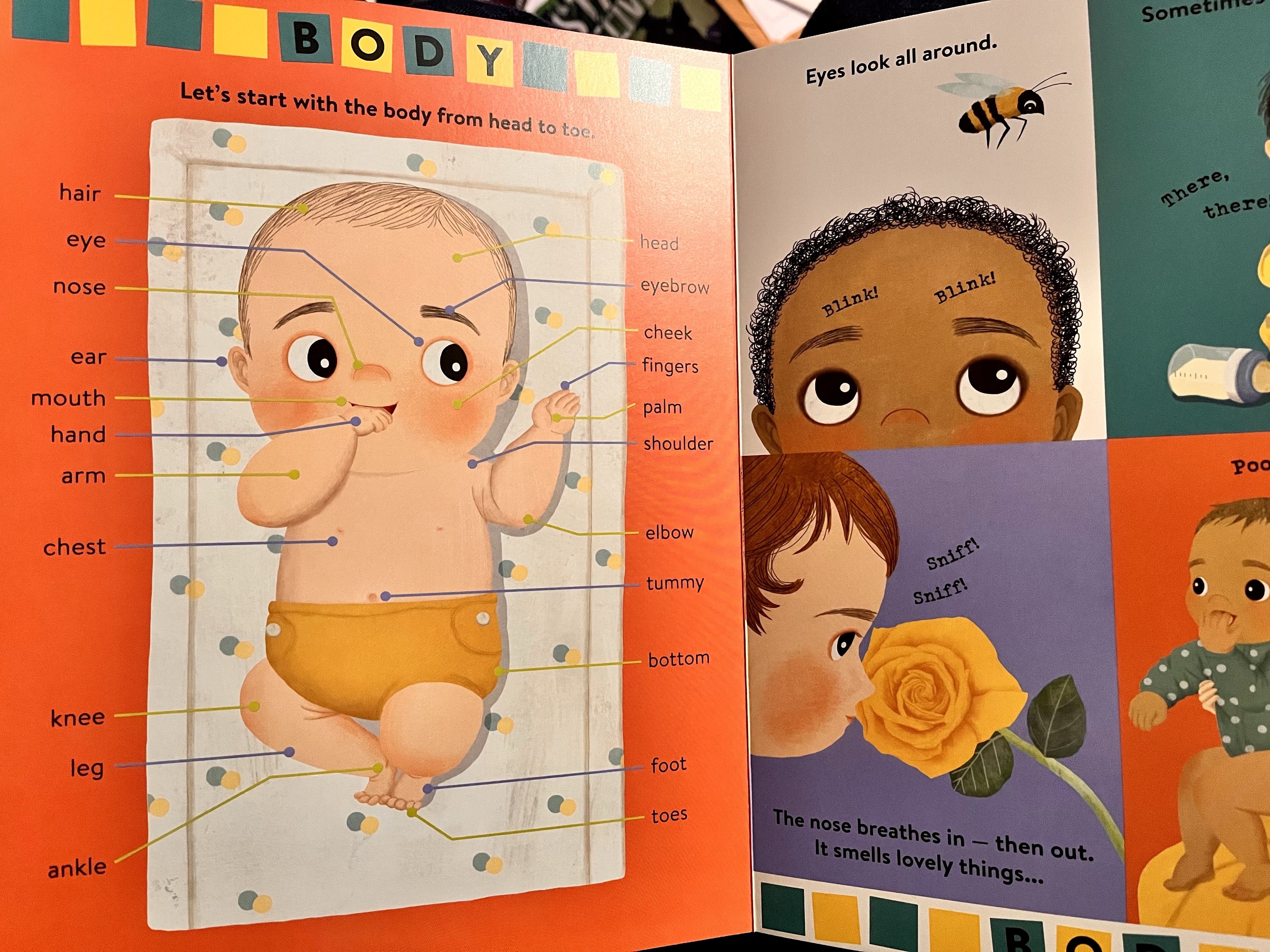 Blog tour: ‘Britannia’s Baby Encyclopedia,’ by Sally Symes, illustrated ...