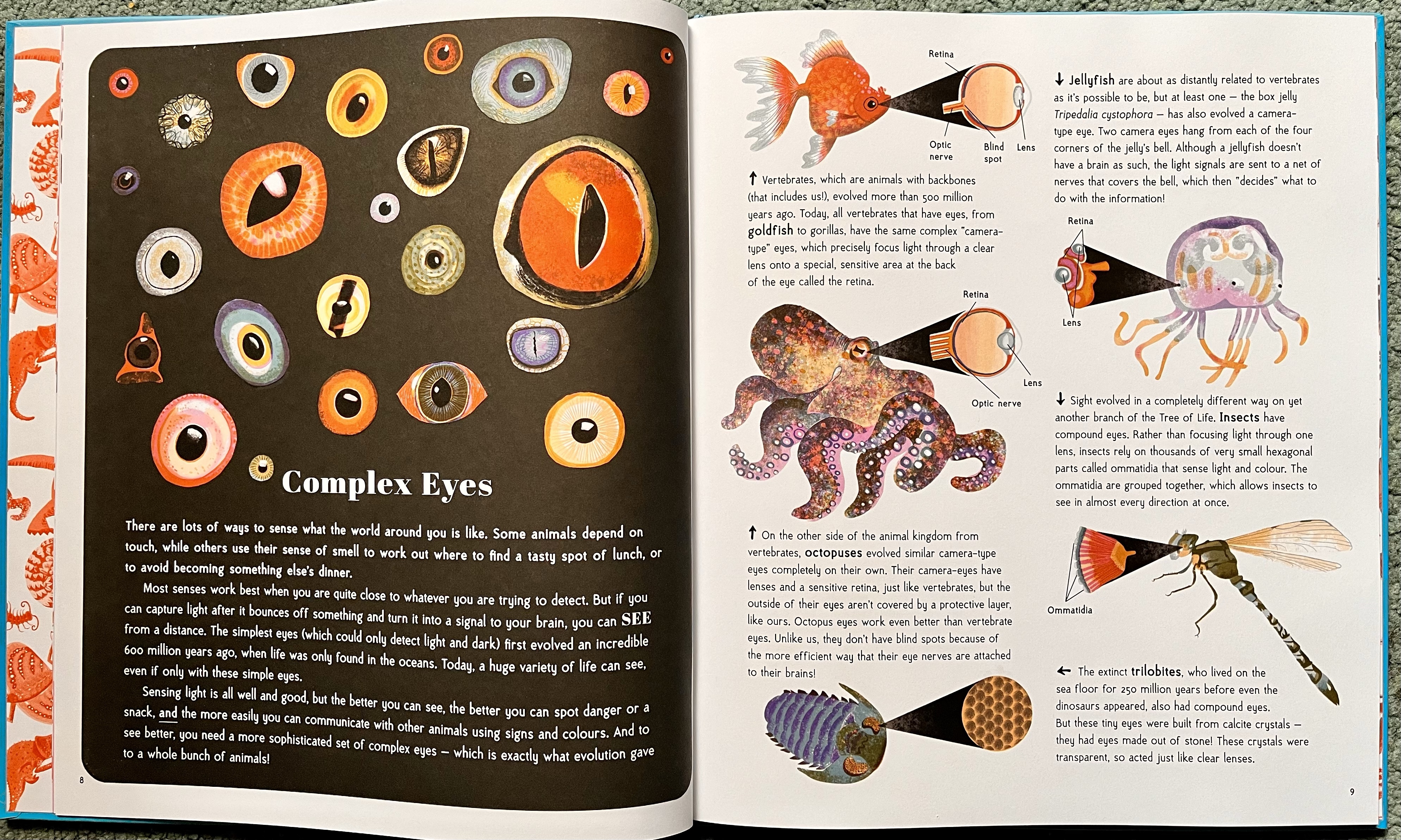 #NNFN ‘Animal Superpowers: The Most Amazing Ways Animals Have Evolved ...