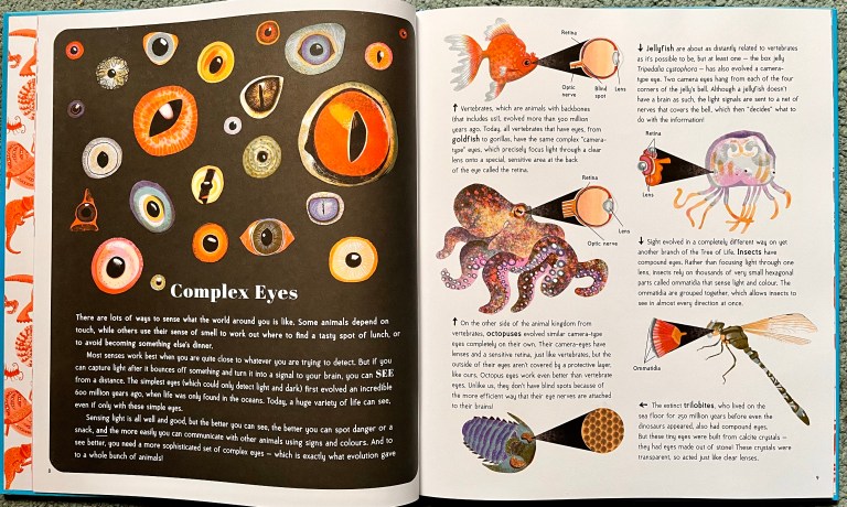 #NNFN ‘Animal Superpowers: The Most Amazing Ways Animals Have Evolved ...