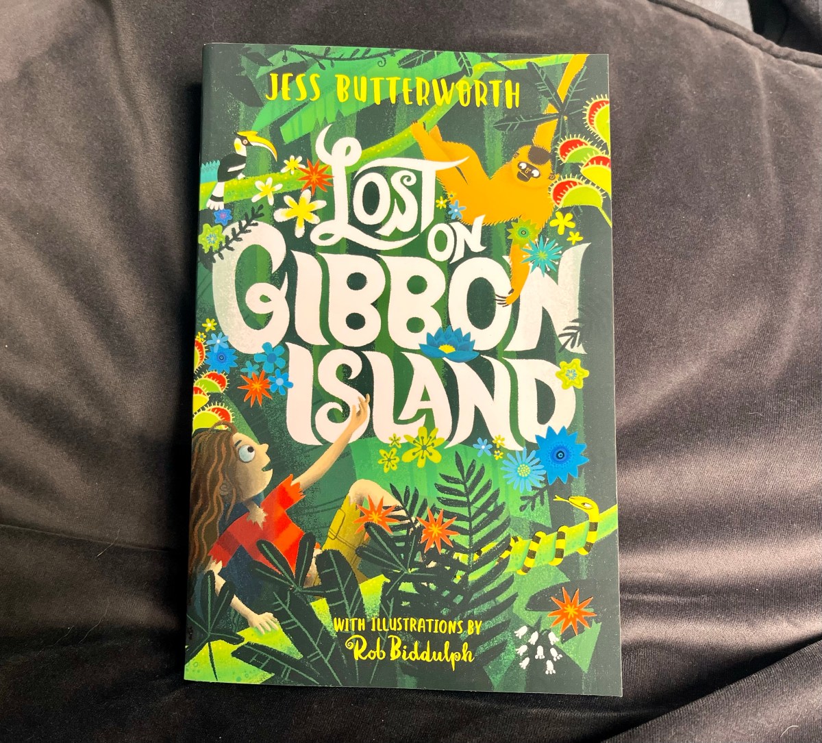 Blog tour: ‘Lost on Gibbon Island,’ by Jess Butterworth, cover by Rob ...