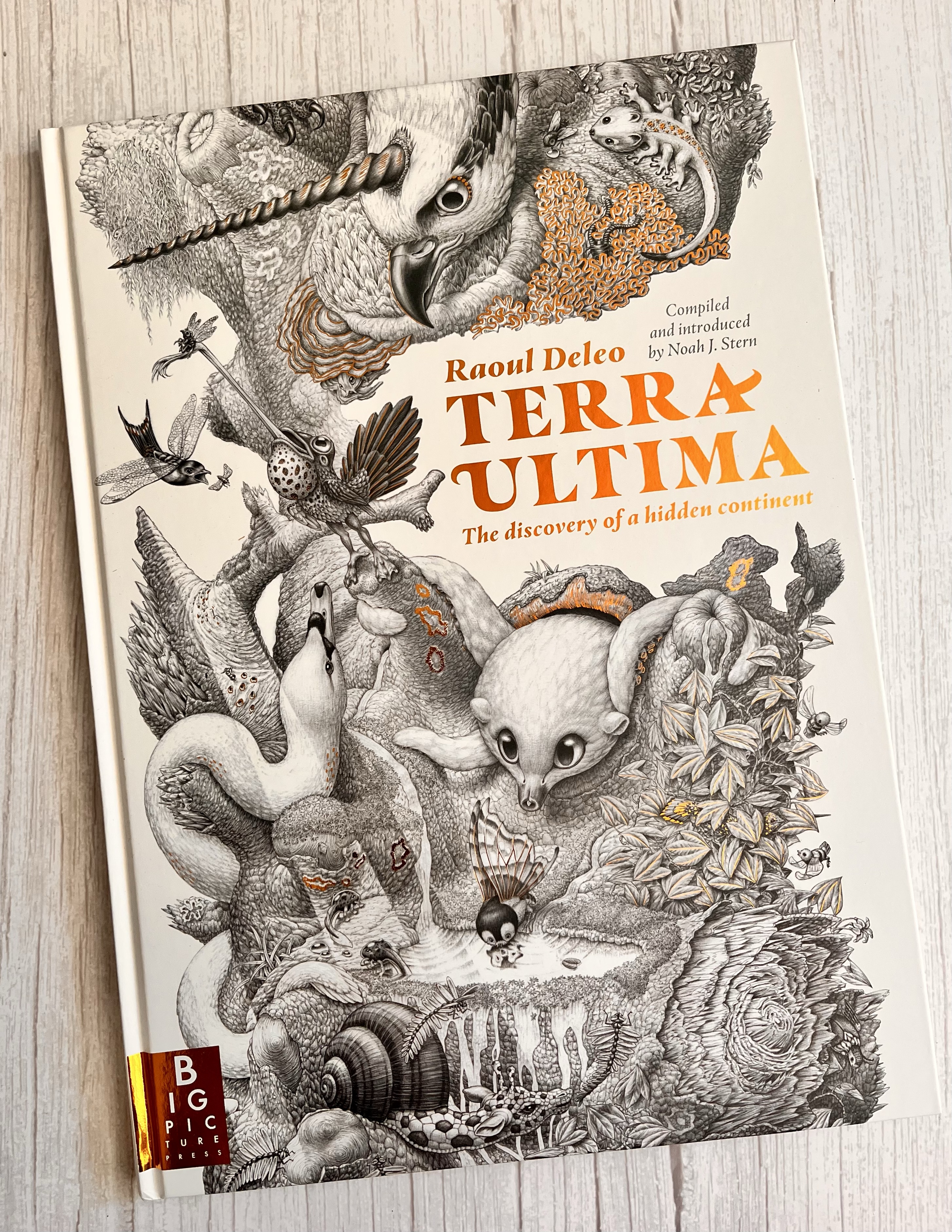 ‘Terra Ultima: The Discovery of a Hidden Continent,’ by Raoul Deleo ...