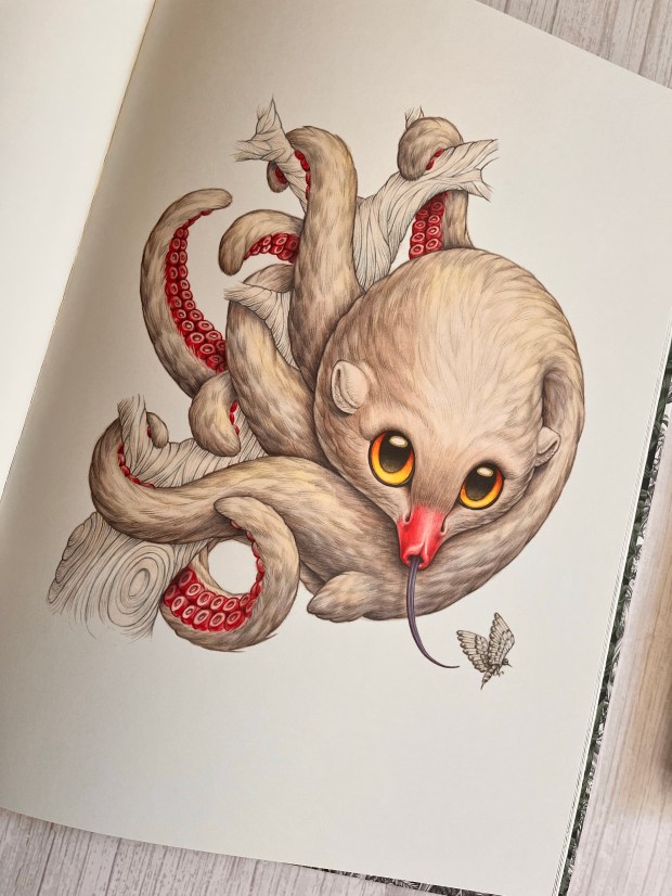 ‘Terra Ultima: The Discovery of a Hidden Continent,’ by Raoul Deleo ...