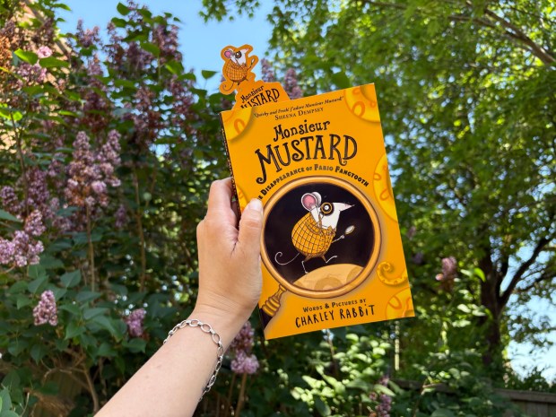 Blog tour: ‘Monsieur Mustard: The Disappearance of Fabio Fangtooth,’ by ...